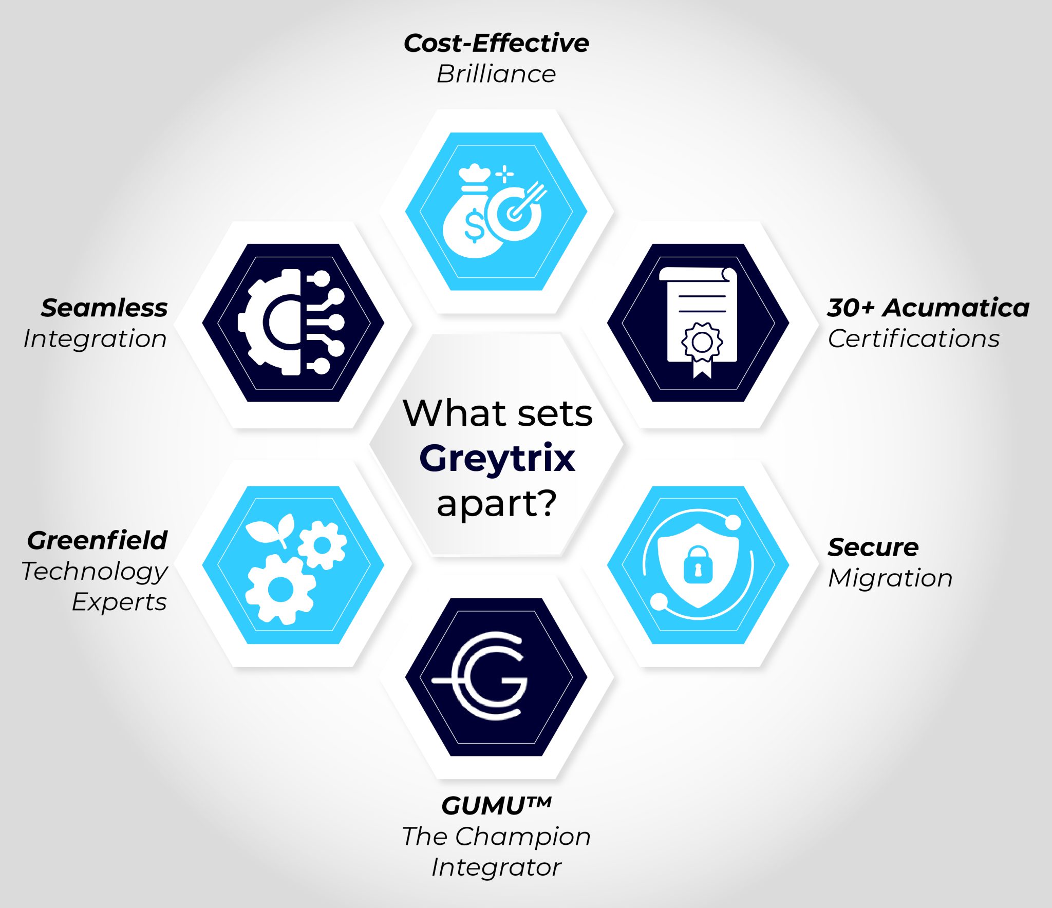 Navigating Acumatica Implementation And Consulting With Greytrix