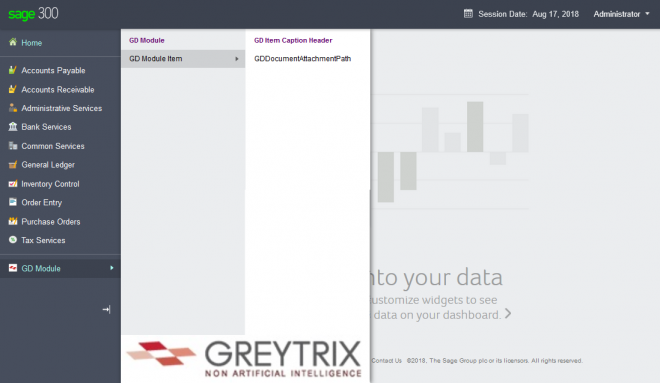 Change the Sage 300 ERP Web's background images