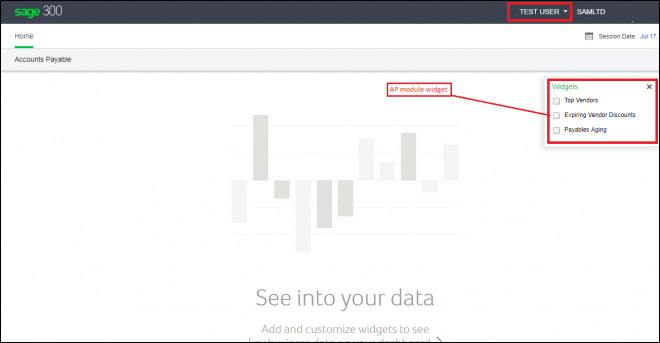Display Widget based on User authorization wise in Sage 300c - Sage 300 ERP – Tips, Tricks and ...