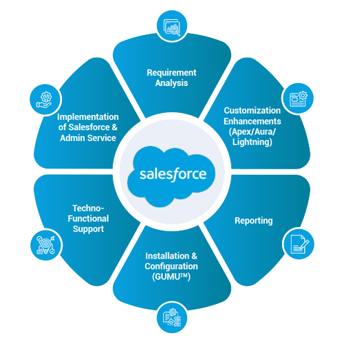 Salesforce CRM Development Services | Greytrix